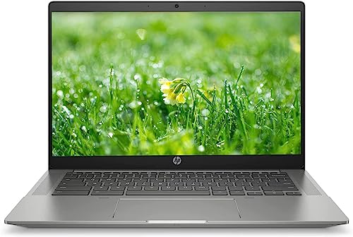 HP High Performance 14" HD Chromebook, Intel i3 Processor Up to 4.0GHz, 4GB Ram, 128GB Storage, Super-Fast WiFi, Webcam, Chrome OS, Seal Grey Color(Renewed)