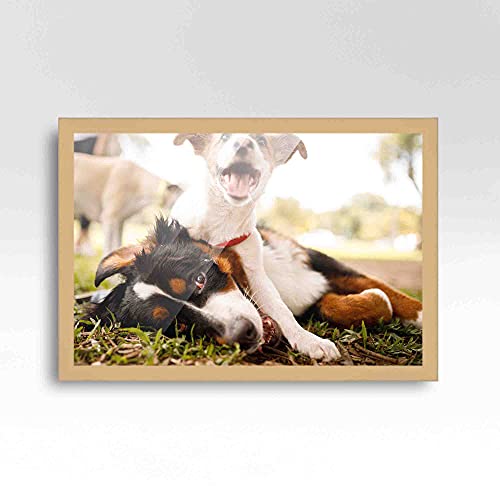 25x18 Frame Beige Real Wood Picture Frame Width 0.75 Inches | Interior Frame Depth 0.5 Inches | Natural Traditional Photo Frame Complete with UV Acrylic, Foam Board Backing & Hanging Hardware