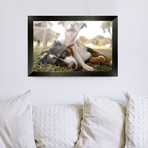 17x42 Frame Black Real Wood Picture Frame Width 1.25 Inches | Interior Frame Depth 0.5 Inches | Megara Modern Photo Frame Complete with UV Acrylic, Foam Board Backing & Hanging Hardware