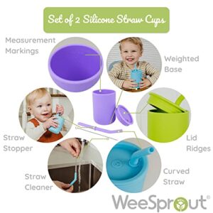 Silicone Baby Feeding Set w/ Suction Divided Plates with Lids, Suction Bowls, Drinking Cups, & Baby Spoons - 100% Food-Grade Baby Led Weaning Supplies - Dishwasher & Microwave Safe Baby Tableware