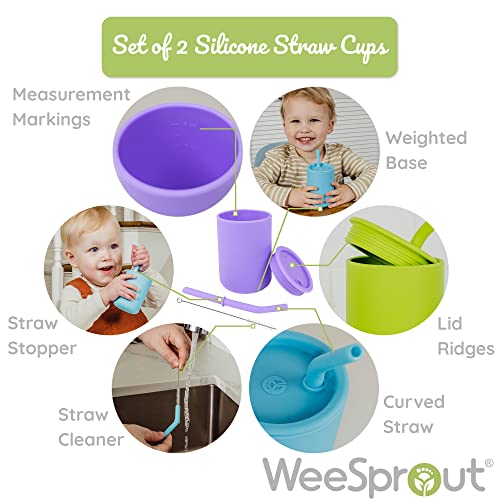 Silicone Baby Feeding Set w/ Suction Divided Plates with Lids, Suction Bowls, Drinking Cups, & Baby Spoons - 100% Food-Grade Baby Led Weaning Supplies - Dishwasher & Microwave Safe Baby Tableware