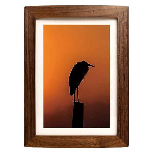 Natural Walnut Wood Photo Frames Inspired Tabletop Picture Frame with Mat, Vertical or Horizontal Display (1, 8x10)