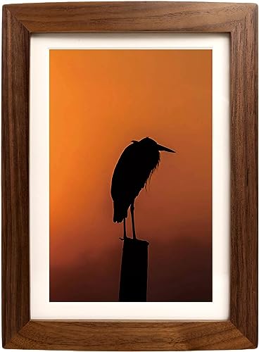 FLECHAZO 8x10 Picture Frame - Made of Natural Walunt Wood - Curved Surface - Covered by 2mm Shatterproof Plexiglass - Fit for 6x8 or 8x10 Picture - Tabletop Display