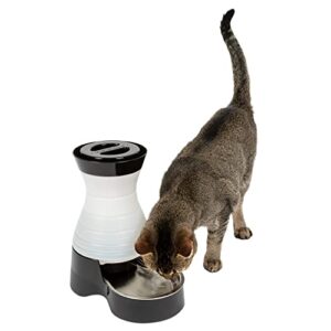 petsafe healthy pet water station - small, 64 oz capacity - gravity cat & dog waterer - removable stainless steel bowl resists corrosion & stands up to frequent use - easy to fill - filter compatible