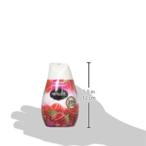 Renuzit Adjustable Air Freshener Gel, Forever Raspberry, 7 Ounces (6 Count)