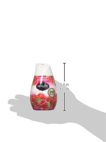 Renuzit Adjustable Air Freshener Gel, Forever Raspberry, 7 Ounces (6 Count)