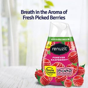 Renuzit Adjustable Air Freshener Gel, Forever Raspberry, 7 Ounces (6 Count)