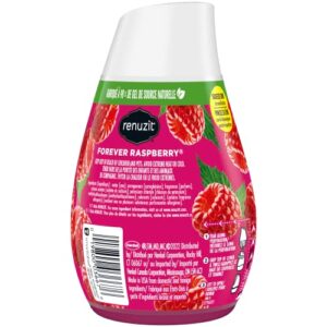 Renuzit Adjustable Air Freshener Gel, Forever Raspberry, 7 Ounces (6 Count)