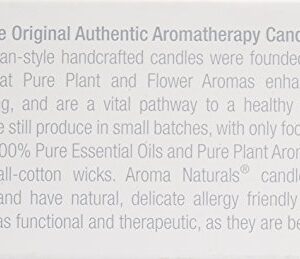 Aroma Naturals Ambiance Votive Candle, Yellow/Orange/Lemongrass, 6 Count