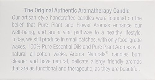 Aroma Naturals Ambiance Votive Candle, Yellow/Orange/Lemongrass, 6 Count