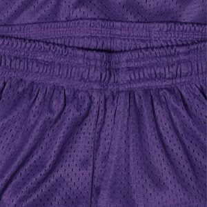 Hat and Beyond Mens Mesh Shorts Elastic Sports Gym Performance Workout Boxing Jersey Basketball Pants (Medium, 1ih01_Purple)