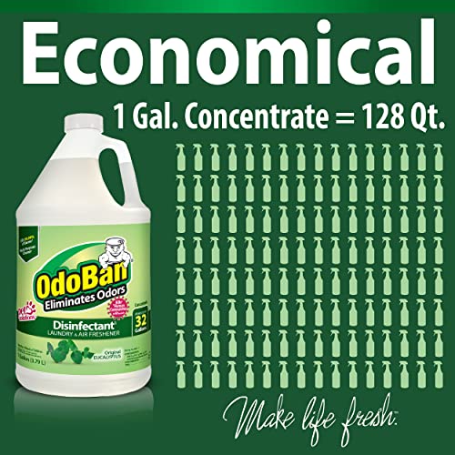 OdoBan Disinfectant Concentrate and Odor Eliminator, 4 Gallons, Original Eucalyptus Scent