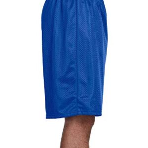 Hat and Beyond Mens Lightweight Basic Mesh Solid Basketball Jersey Workout Fitness Gym Shorts (4X-Large, 1ihb01_Royal Blue)