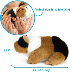 VIAHART Gigi The Guinea Pig - 6 Inch Stuffed Animal Plush - by Tiger Tale Toys