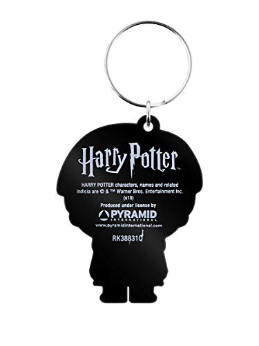 Harry Potter Rubber Keychain, 4.5 x 6cm, Multi-colour