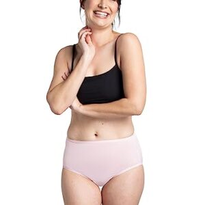 Fruit of the Loom womens Microfiber Panties (Regular & Plus Size) Underwear, Brief - 12 Pack Assorted, 8 US