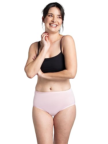 Fruit of the Loom womens Microfiber Panties (Regular & Plus Size) Underwear, Brief - 12 Pack Assorted, 8 US