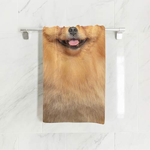 ALAZA Microfiber Gym Towel Pomeranian Dog, Fast Drying Sports Fitness Sweat Facial Washcloth 15 x 30 inch