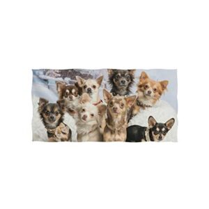 alaza microfiber gym towel cute chihuahuas dog, fast drying sports fitness sweat facial washcloth 15 x 30 inch