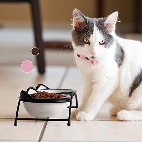 Y YHY Cat Food Bowls, Raised Cat Bowls for Food and Water,Ceramic Elevated Pet Dishes Bowls with Stand,12 oz Cats and Small Dogs Bowls,Dishwasher Safe