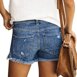 Women's Mid Rise Ripped Denim Shorts Frayed Raw Hem Jean Shorts Casual Shorts, Size XXL