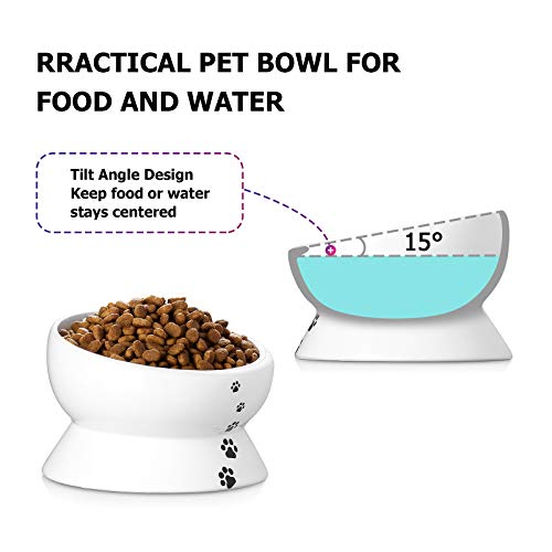 Y YHY Elevated Cat Food Bowl, Raised Pet Food and Water Bowl, Cat and Small Dog Bowl, Tilted Ceramic Cat Water Bowl No Spill,15oz, Dishwasher Safe