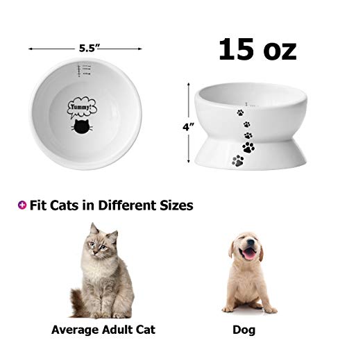 Y YHY Elevated Cat Food Bowl, Raised Pet Food and Water Bowl, Cat and Small Dog Bowl, Tilted Ceramic Cat Water Bowl No Spill,15oz, Dishwasher Safe