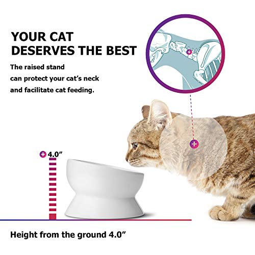 Y YHY Elevated Cat Food Bowl, Raised Pet Food and Water Bowl, Cat and Small Dog Bowl, Tilted Ceramic Cat Water Bowl No Spill,15oz, Dishwasher Safe