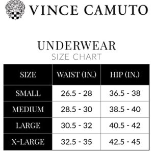 Vince Camuto Women's Underwear ? Seamless Lace Hipster Briefs (3 Pack), Size Medium, Black/Soft Violet/Taupe