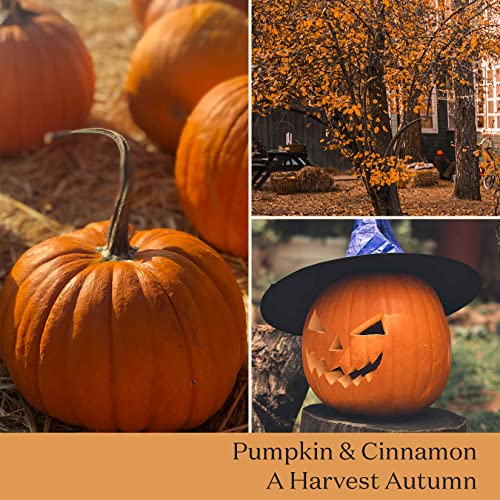 LA JOLIE MUSE Pumpkin Cinnamon Candle, Fall Candle, Travel Tin Holiday Candle, 45 Hours Burning Time, Small Candle Gift for Autumn