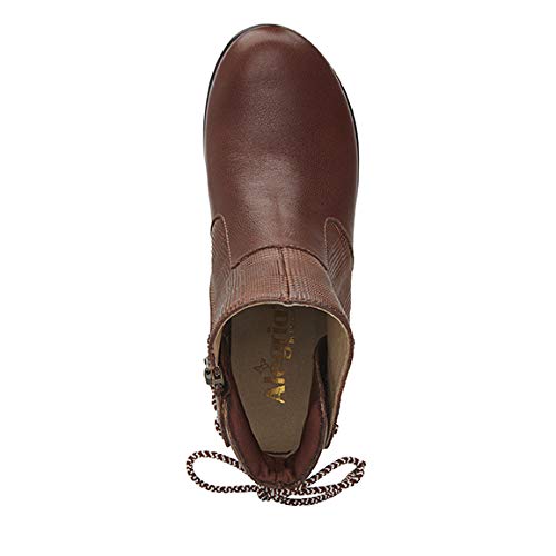 Alegria Stevee Plaidly Brown EU 37 (US Women's 7-7.5) Regular