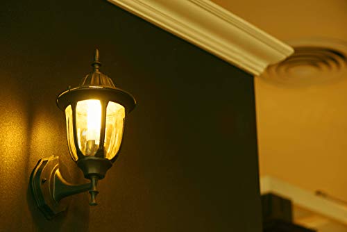 Un-Edison A19 LED Bug Light - Replaces 100W - Yellow Spectrum E26 Medium Outdoor Bulb for Porch Patio & Deck - Upgrade Your Old Painted Incandescent Bug Bulbs to Amber Glow 2-Pack