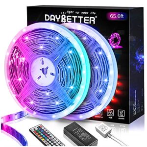 daybetter led lights 65.6ft, 5050 rgb led strip lights flexible color changing remote control led light strips, 2 rolls of 32.8ft led lights for bedroom decor, living room decor, party home decor