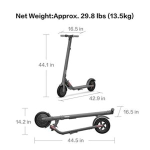 Segway Ninebot E22 E45 Electric Kick Scooter, Lightweight and Foldable, Upgraded Motor Power, Dark Grey Large