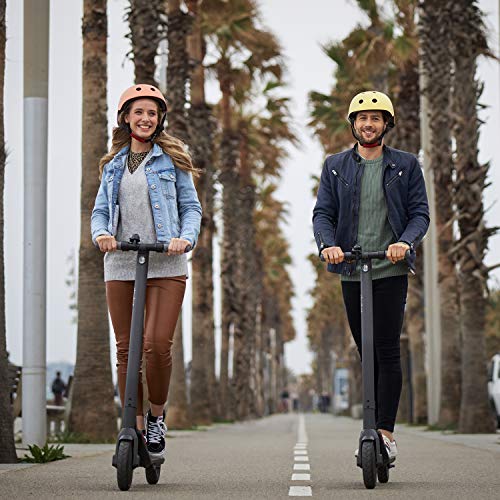 Segway Ninebot E22 E45 Electric Kick Scooter, Lightweight and Foldable, Upgraded Motor Power, Dark Grey Large