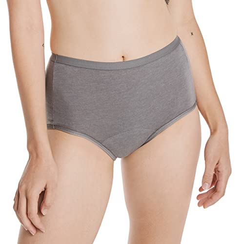 Hanes Women's Fresh & Dry Light and Moderate Period 3-Pack Brief Underwear, Multiple Options Available, Beige,Gray and Black, 9