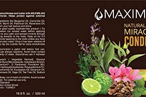 MAXIMILIAN All Natural Shampoo Deep Cleansing Natural Shampoo and Conditioner Set, 10 Hair Oils & Provitamin B5, Vegan Shampoo and Conditioner Shampoo Natural Scented, 2 x 16.9 Fl Oz