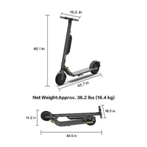 Segway Ninebot E22 E45 Electric Kick Scooter, Lightweight and Foldable, Upgraded Motor Power, Dark Grey