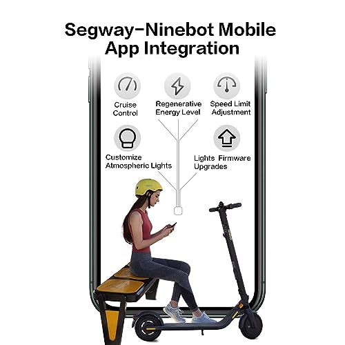 Segway Ninebot E22 E45 Electric Kick Scooter, Lightweight and Foldable, Upgraded Motor Power, Dark Grey