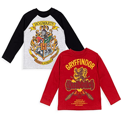 Harry Potter Gryffindor Hogwarts Little Boys 2 Pack T-Shirt Red/Grey 7-8