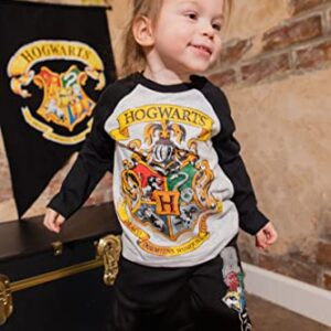 Harry Potter Gryffindor Hogwarts Little Boys 2 Pack T-Shirt Red/Grey 7-8