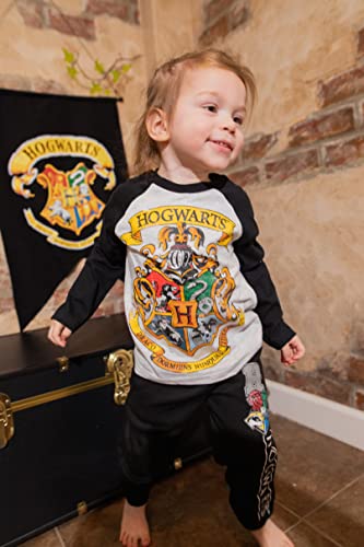 Harry Potter Gryffindor Hogwarts Little Boys 2 Pack T-Shirt Red/Grey 7-8