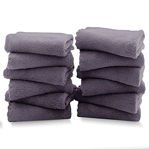 TENSTARS 12 Pack Premium Washcloths Set - Quick Drying- Soft Microfiber Coral Velvet Highly Absorbent Wash Clothes - Multipurpose Use as Bath, Spa, Facial, Fingertip Towel (Grey)