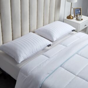 Beautyrest BT-DP-36-2PK US Grown Cotton 500 Thread Count Softy-Around White Feather Pillow, Set of 2, King (Pack of 2), 2