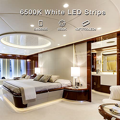 DAYBETTER White LED Strip Light, 40ft Dimmable Bright Rope Light, 6500K 24V Light Strips, 720 LEDs 2835 Tape Lights for Bedroom, Kitchen, Mirror, Home Decoration