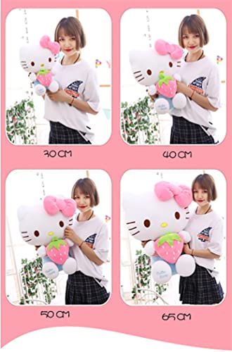 Hello Kitty Plush Toys, Cute Soft Doll Toys, Birthday Gifts for Girls (30CM, Pink A)