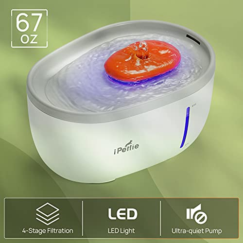 iPettie Avocado Pet Water Fountain with LED Light, 67oz/2.0L, Ultra Quiet Cat Water Fountain with Filter, Automatic Pet Water Fountain for Cats and Small Dogs, White