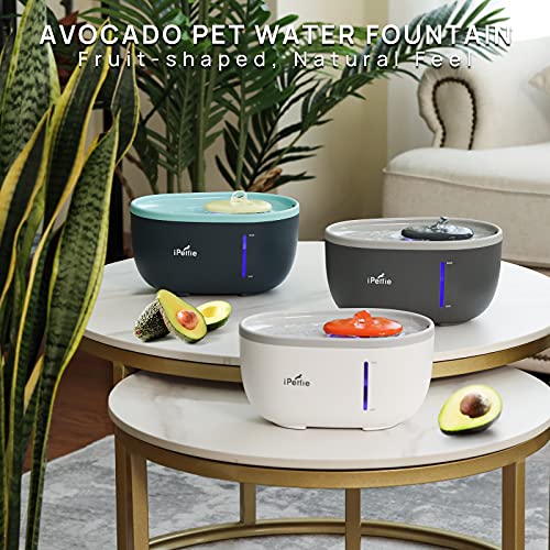 iPettie Avocado Pet Water Fountain with LED Light, 67oz/2.0L, Ultra Quiet Cat Water Fountain with Filter, Automatic Pet Water Fountain for Cats and Small Dogs, White