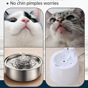 OYES Cat Water Fountain,Stainless Steel 2.0L/67oz Automatic Circulating Pet Water Fountain,Ultra-Quiet Pump with LED Light,Dishwasher Safe,Cat Fountain Suitable for Cat, Dog and Puppy