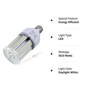 DJDTDTY 30W/60W/80W/100W/120W/150W LED Corn Light Bulb, E26 E27 Base LED Corn Lamp, 4000 Lumen 5000K Daylight 110V~277V Corn Cob Light Bulb for Indoor Outdoor (watts, 30.00)